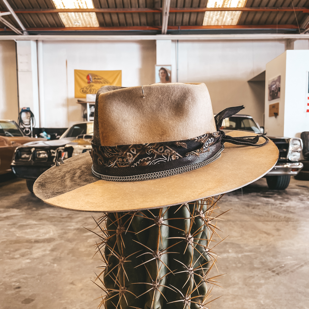 Collections – WHY HATS