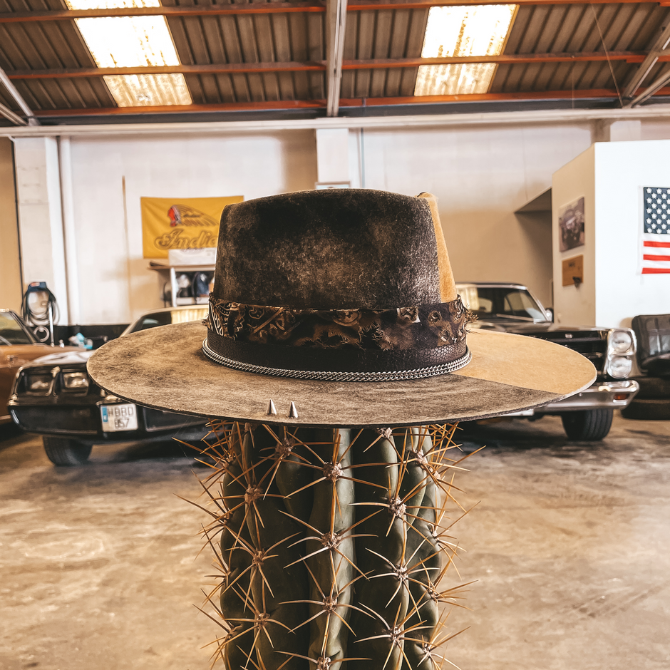 Classics Collection – WHY HATS