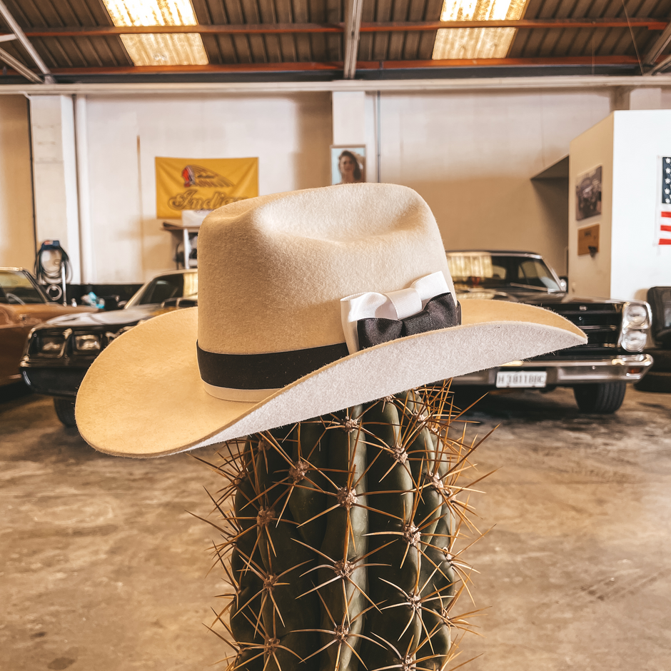 Classics Collection – WHY HATS